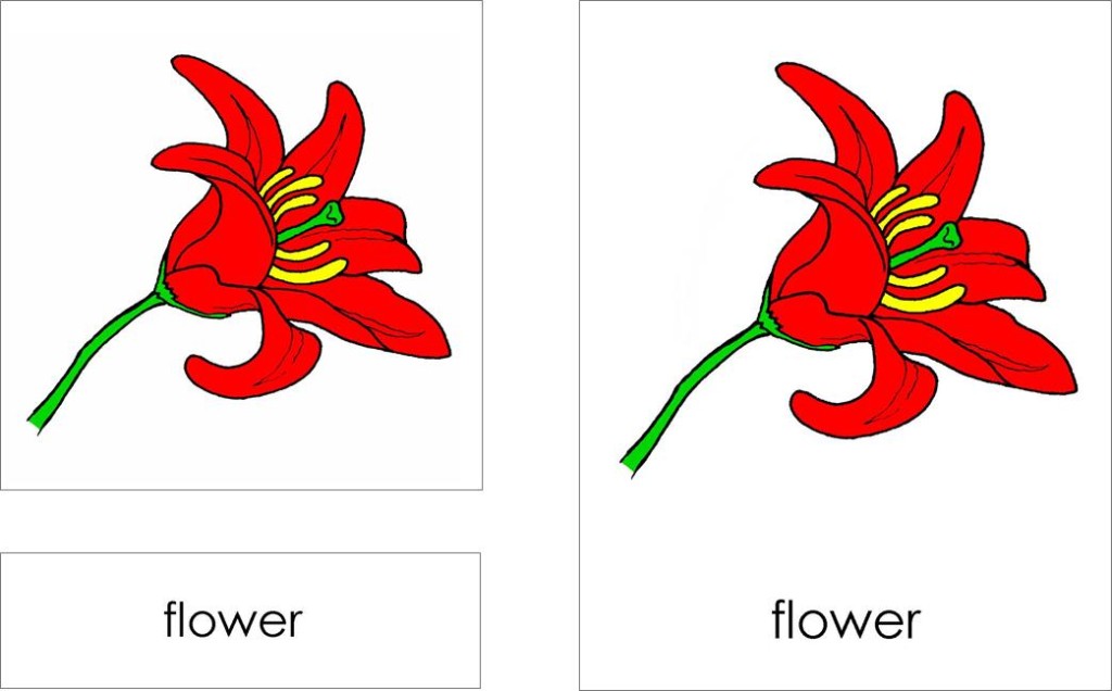 Using 3-Part Cards in the Montessori Classroom - Montessori for ...